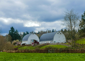 Things to Do | City of Bellevue