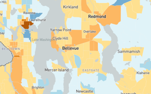 Make today count: take the 2020 census | City of Bellevue